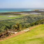 Mangroves, Mogotes and Mountains from Punta Cana - What Travelers Say