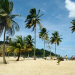 Maracas: Day Trip to Maracas Beach from Port of Spain - Maracas Bay: The Jewel of Trinidad’s Beaches