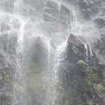 Maracas Waterfall Hike - How the Tour Is Structured