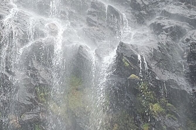 Maracas Waterfall Hike - How the Tour Is Structured