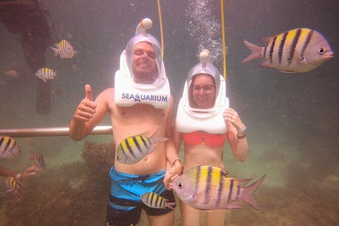 Marine Adventure Tour - Final Thoughts: Is it Worth It?