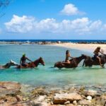 Martha Brae Rafting, Horseback Riding and Luminous Lagoon - Triple Treat - How the Experience Comes Together