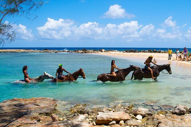 Martha Brae Rafting, Horseback Riding and Luminous Lagoon - Triple Treat - How the Experience Comes Together