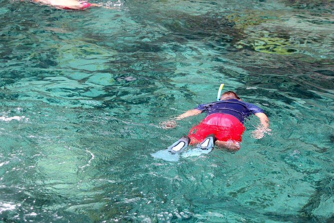 Martinique : Anse Coralienne & Tortues - The Sum Up