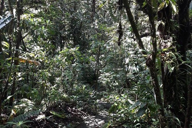 Martinique North Island Private Tour - The Reviews Speak for Themselves