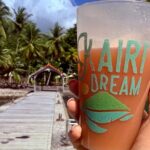 Martinique : Observation des dauphins et snorkeling - Snorkeling at Pelee Mountain