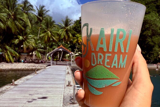 Martinique : Observation des dauphins et snorkeling - Snorkeling at Pelee Mountain