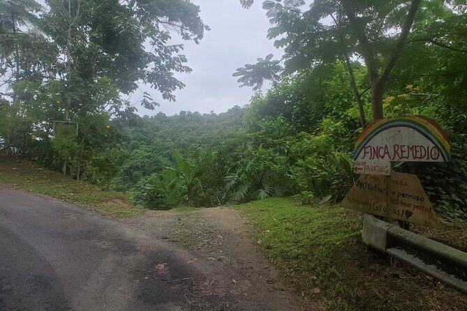 Massage Therapy Mini Mountain Retreat at Finca Remedio - The Massage Experience: Deep Relaxation in Nature