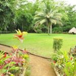 Mayfield Falls and Benta Falls Private Tour - The Guided Experience and Its Benefits