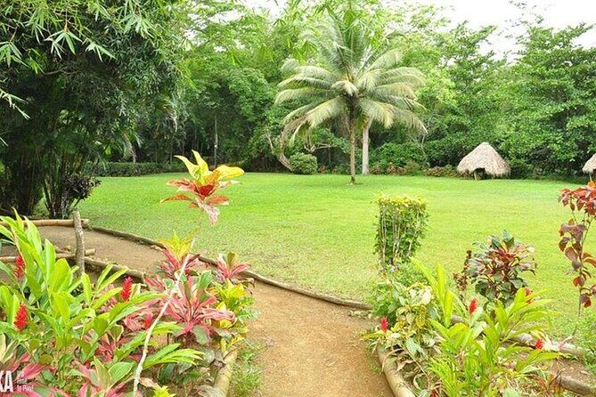 Mayfield Falls and Benta Falls Private Tour - The Guided Experience and Its Benefits