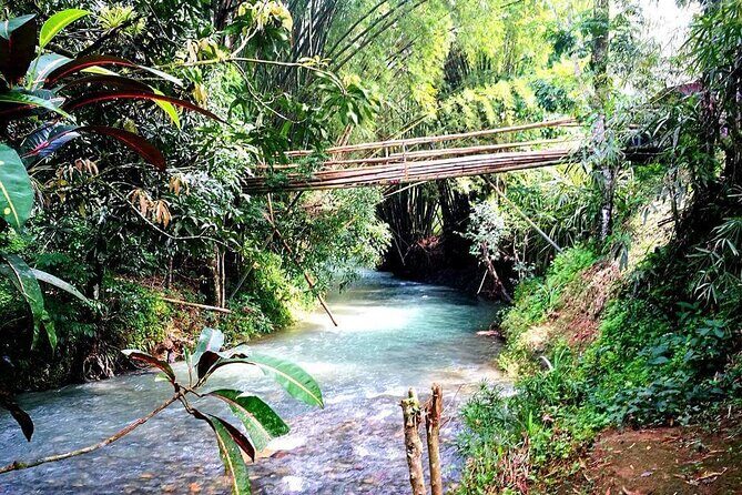 Mayfield Falls, Blue Hole & Rick's Café Tours/Weed Farm option - Who Will Love This Tour?