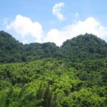 Mayfield Falls nature walk & Negril Hi-light Ricks Cafe - Transportation, Timing, and Group Size