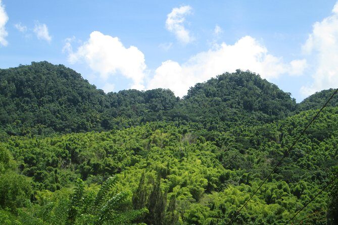 Mayfield Falls nature walk & Negril Hi-light Ricks Cafe - Transportation, Timing, and Group Size