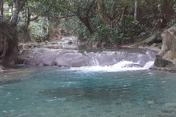 Mayfield Falls nature walk - In The Sum Up