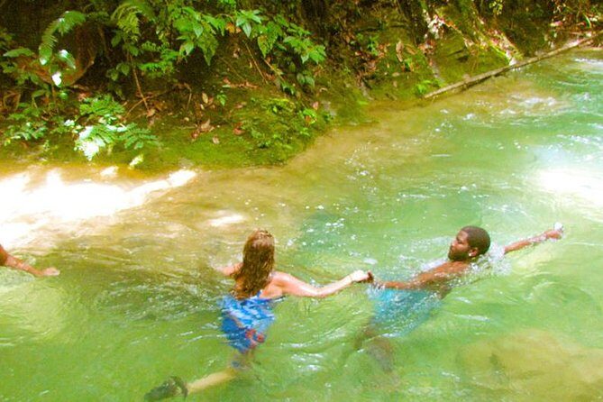 Mayfield Falls Private Tour - Is This Tour Right for You?