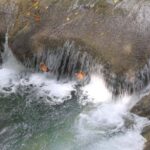 Mayfield Falls River Walk with Private Transportation - The Experience Itself: What to Expect and How to Prepare