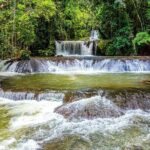 Mayfield Falls Tour Westmoreland Negril from Montego Bay - Who Will Love This Tour?