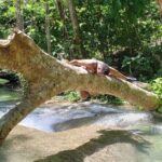 Mayfield Falls Tour with Lunch, drink, Entry & Transp(Original) - The Practicalities: What’s Included and What You Should Know