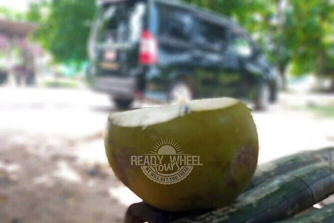 MBJ Airport Private Transfer to Rosehall Montego Bay - The Itinerary: What Happens on the Ride?