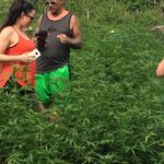 MBJ - Hotels in Ocho Rios - Vehicle Quality and Comfort