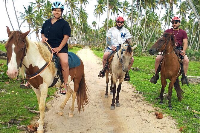 Miches Beach Horseback Riding - What Travelers Are Saying