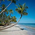 Miches: Isla Saona Day Trip with Catamaran & Lunch - Who Will Love This Tour?