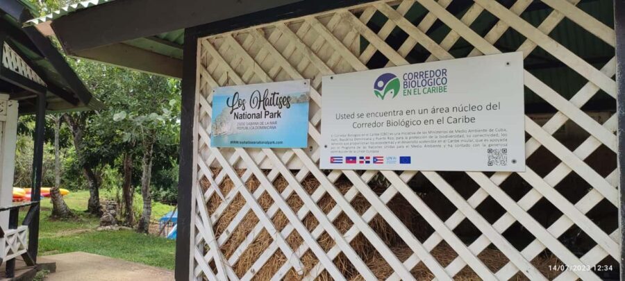 Miches: Los Haitises, Transfer, Walking & Boat tour. - The Experience You Get