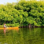 Miches: Private Kayak Excursion Through El Limón Lagoon - What Makes This Tour Stand Out?