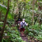Mindfulness Rainforest Hike, Forest Bathing, Volcanic Hot Springs - The Sum Up