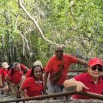 Misteriosas Cuevas, Elegantes Flamencos y Relax en Porto Marie - Analyzing the Value