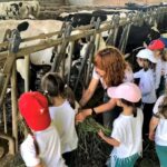 Moca: Farm Tour with Animal Feeding and Egg Collecting - Who Should Consider This Tour?