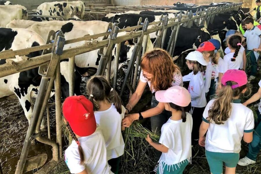 Moca: Farm Tour with Animal Feeding and Egg Collecting - Who Should Consider This Tour?