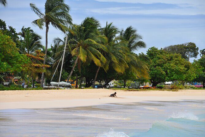 Monkey Feeding and Swimming with the Turtles Private Tour - Practical Tips for Travelers