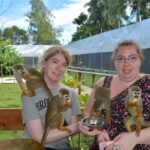 Monkey Home Puerto Plata Countryside Tour - The Sum Up