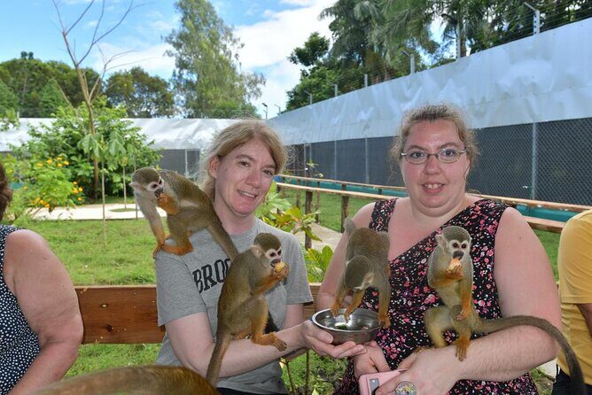 Monkey Home Puerto Plata Countryside Tour - The Sum Up