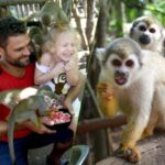 Monkey jungle tour + Transportation from cruise/hotel - What Travelers Say