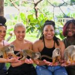 Monkey Magic and City Views in Puerto Plata - Practical Details: What This Tour Offers