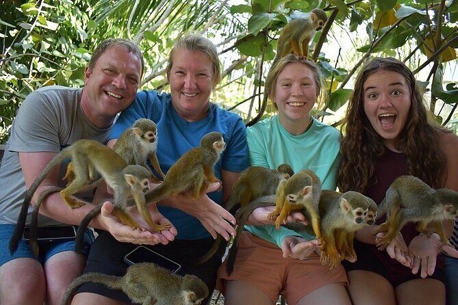 Monkey Mania Puerto Plata - What Makes Monkey Mania Puerto Plata Special?