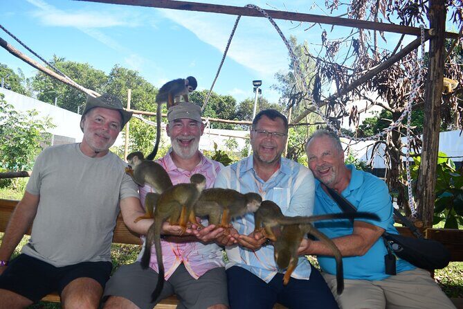 Monkey Tour Interaction and Damajagua waterfalls in Puerto Plata. - Authentic Experiences and Practical Tips