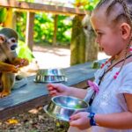 Monkeyland & Plantation Safari Full Day from Juan Dolio - Key Points