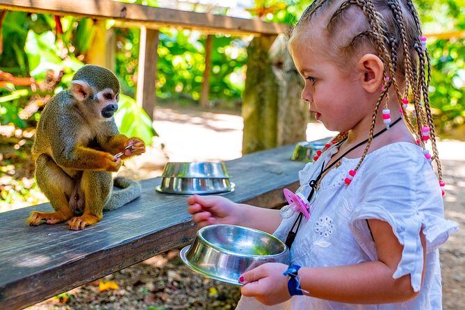 Monkeyland & Plantation Safari Full Day from Juan Dolio - Key Points