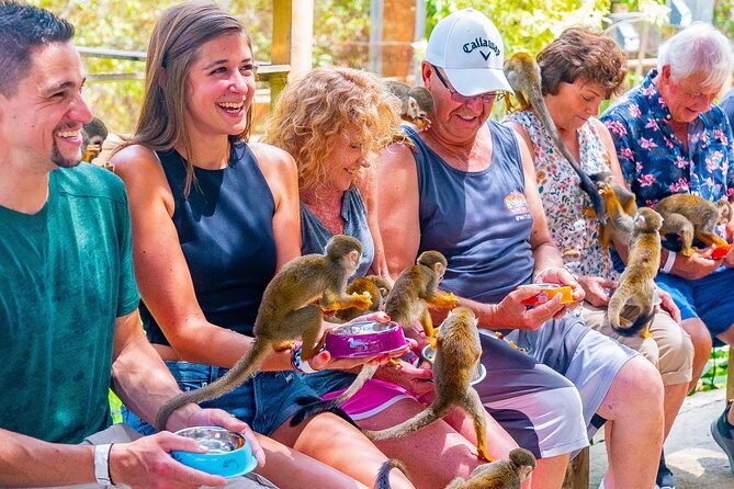 Monkeyland Puerto Plata - The Downside: Considerations for Travelers