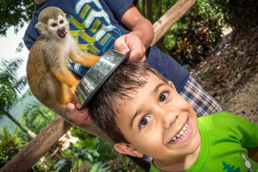 Monkeyland Punta Cana Natural Jungle and Guided Safari Tour - What to expect on the day