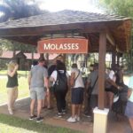 Montego Bay: 8-Hour Appleton & Pelican Bar Return Transfer - Practical Considerations for Travelers