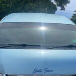 Montego Bay Airport and Sandals Negril Beach Private Shuttle - How This Transfer Fits Into Your Trip