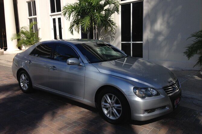 Montego Bay Airport (MBJ) - Hedonism II Negril - Who Is This Transfer Best For?