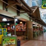 Montego Bay Airport Private Transfer to Montego Bay Hotels - Why This Transfer is Worth Considering