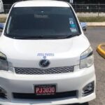 Montego Bay Airport Taxi to Princess Grand Jamaica Green Island - The Experience According to Past Travelers