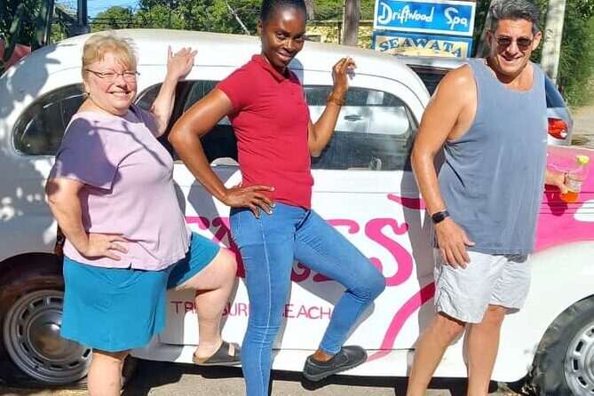 Montego Bay Airport Transfers Private Taxi to Hotels in Negril - Pricing and Value