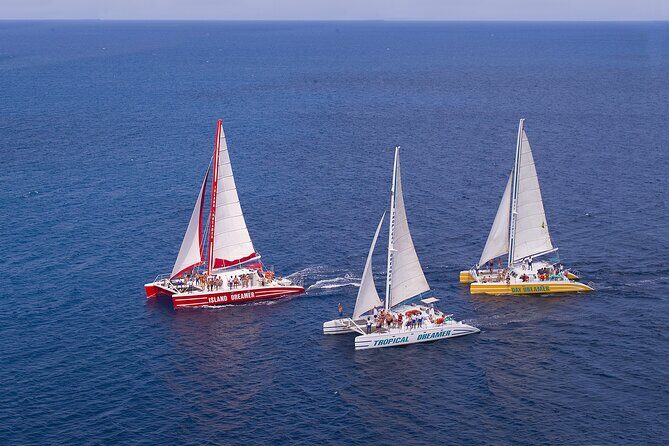 Montego Bay Catamaran: Snorkel Tour with Open Bar & Reggae DJ - What Makes This Tour Stand Out?